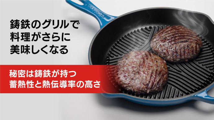 Flagship Light Grill ポーチとハンドル付き – Flagship Light